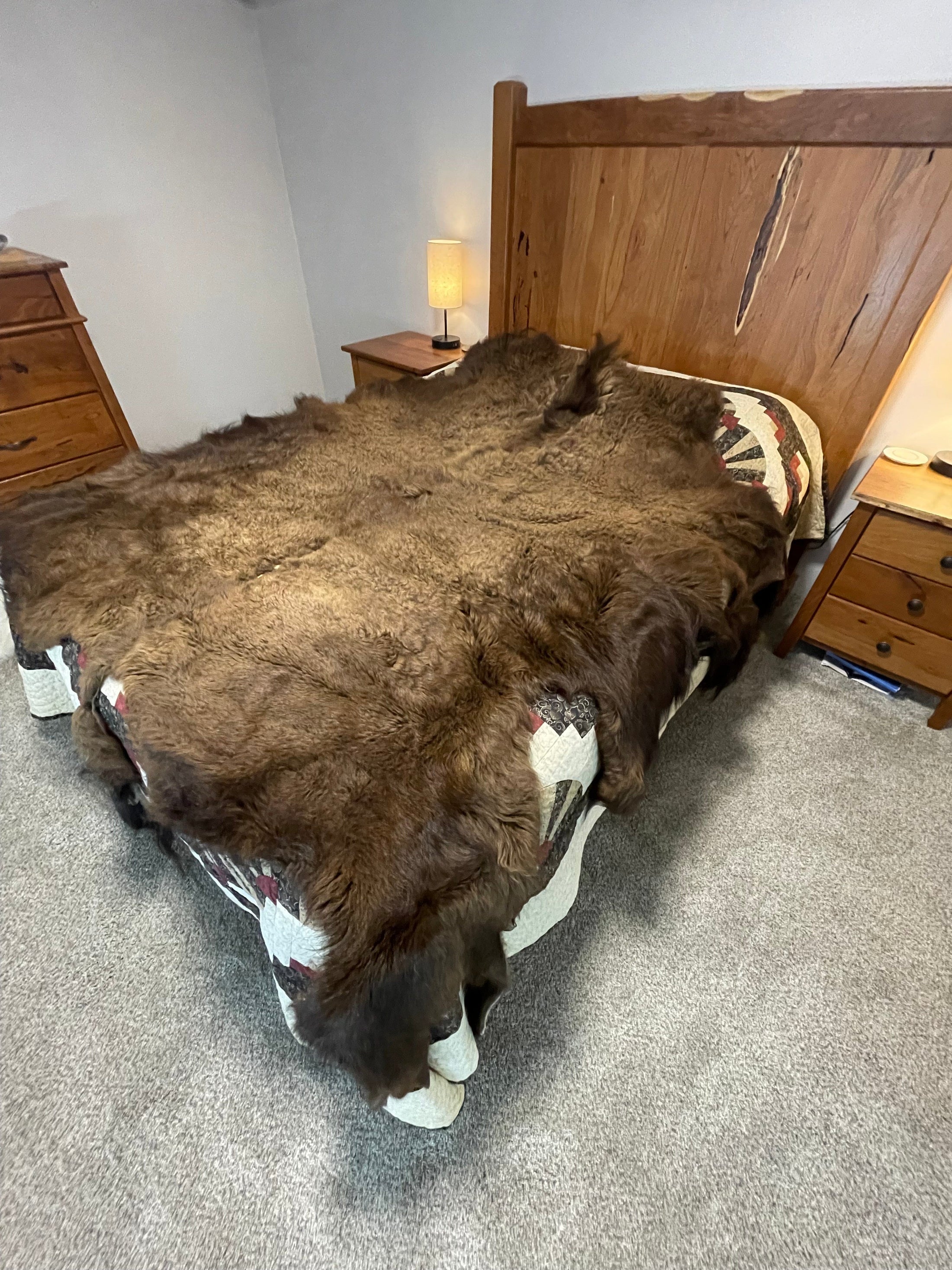 Bison Leather Hides – Miller Bison LLC.