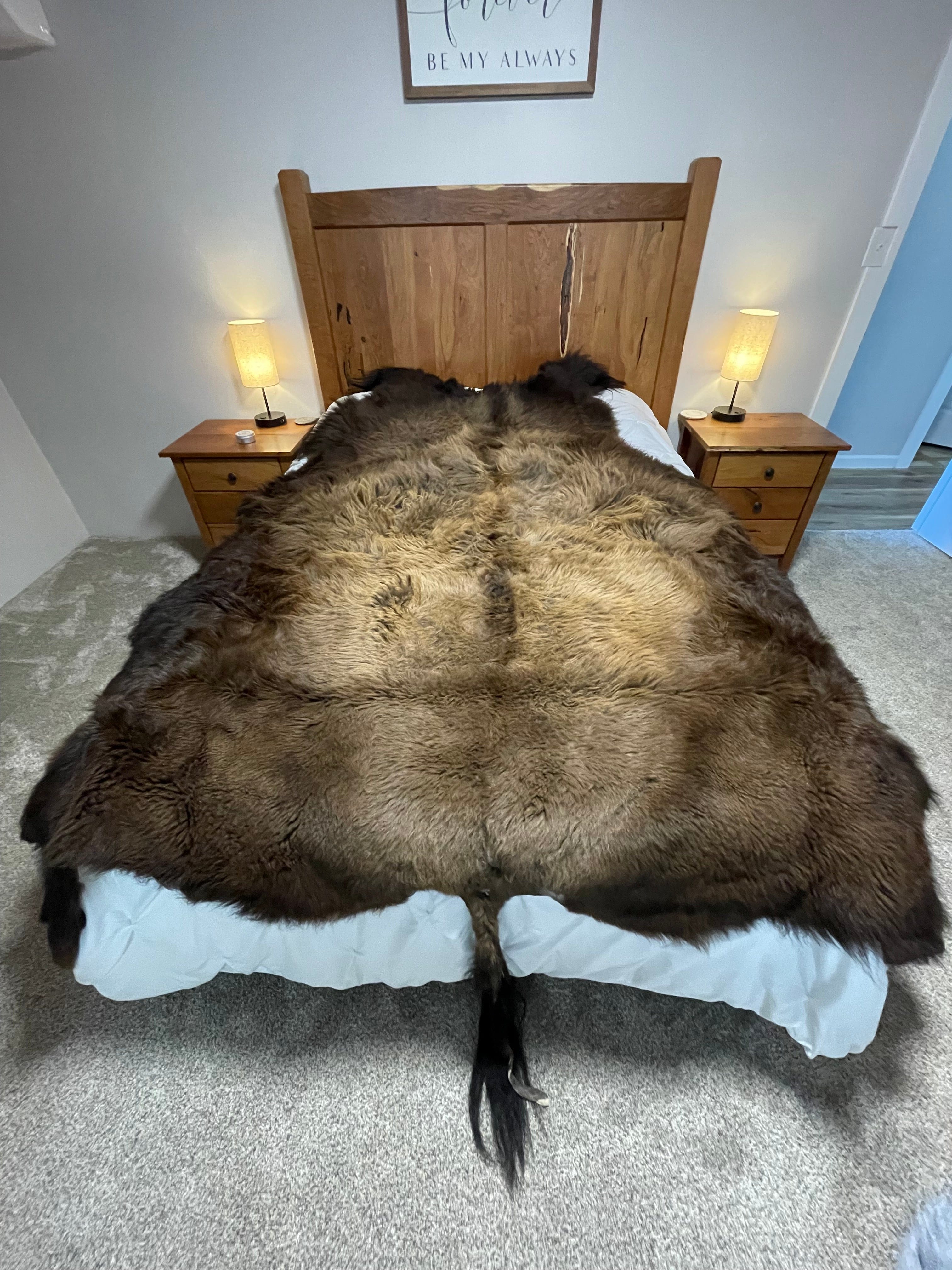Bison Leather Hides – Miller Bison LLC.